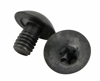 UM Torx screw w/round head